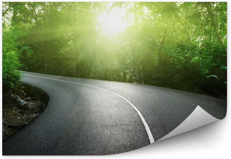 Fototapety.Pl Pusta Droga Dżungla Drzewa Rośliny Seszele - Opinie i ...