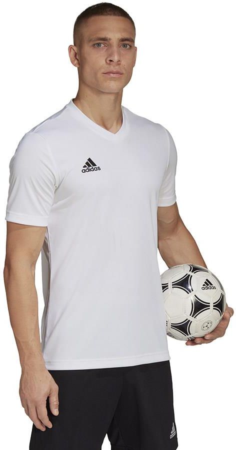 Adidas Koszulka Entrada 22 Jsy Hc5071 R. L - Ceny i opinie - Ceneo.pl