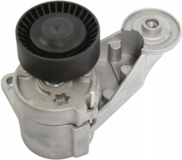 Mechanizm rozrządu Volvo 31251252 Xc70 2,4D Napinacz Paska Klinowego ...