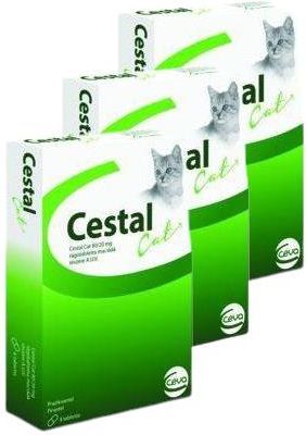 Ceva Animal Health Polska Sp. Z O.O. Cestal Cat Tabletki Na ...