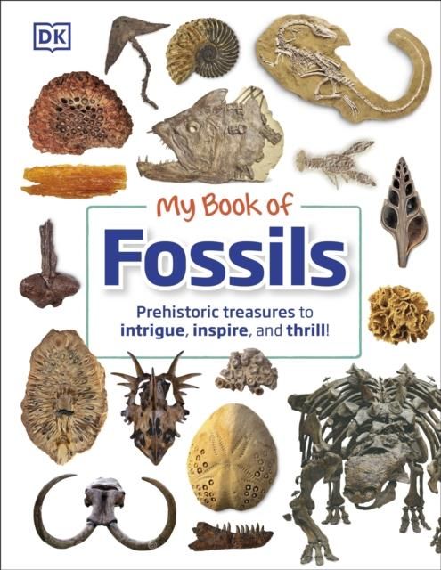 My Book of Fossils. A fact-filled guide to prehistoric life - ceny i ...