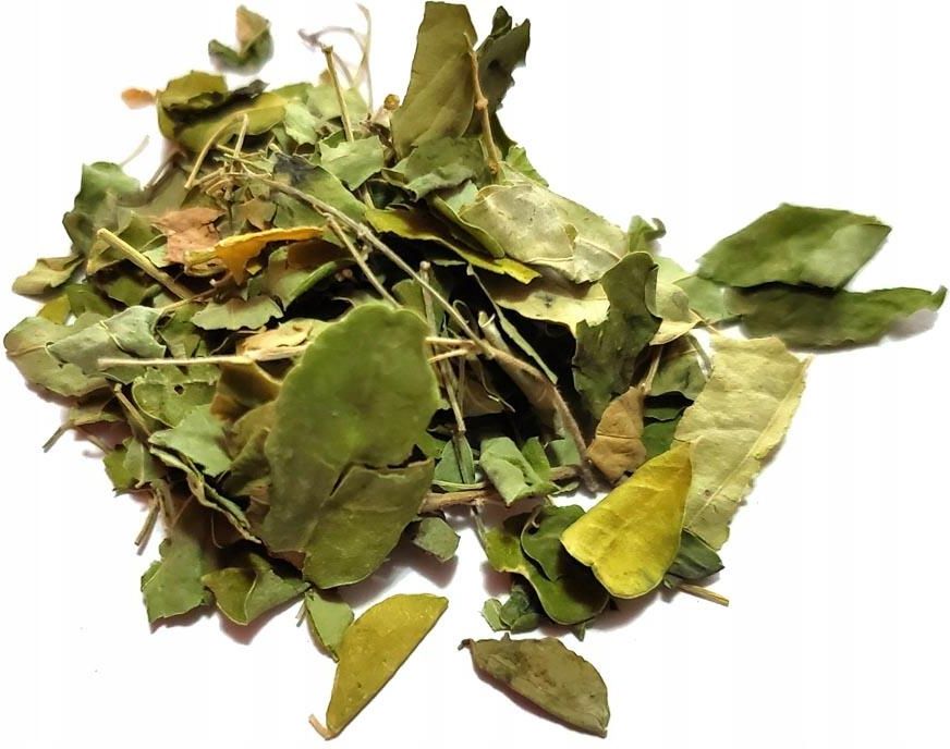 Herbata Moringa Oleifera Liść 1kg - Ceny i opinie - Ceneo.pl
