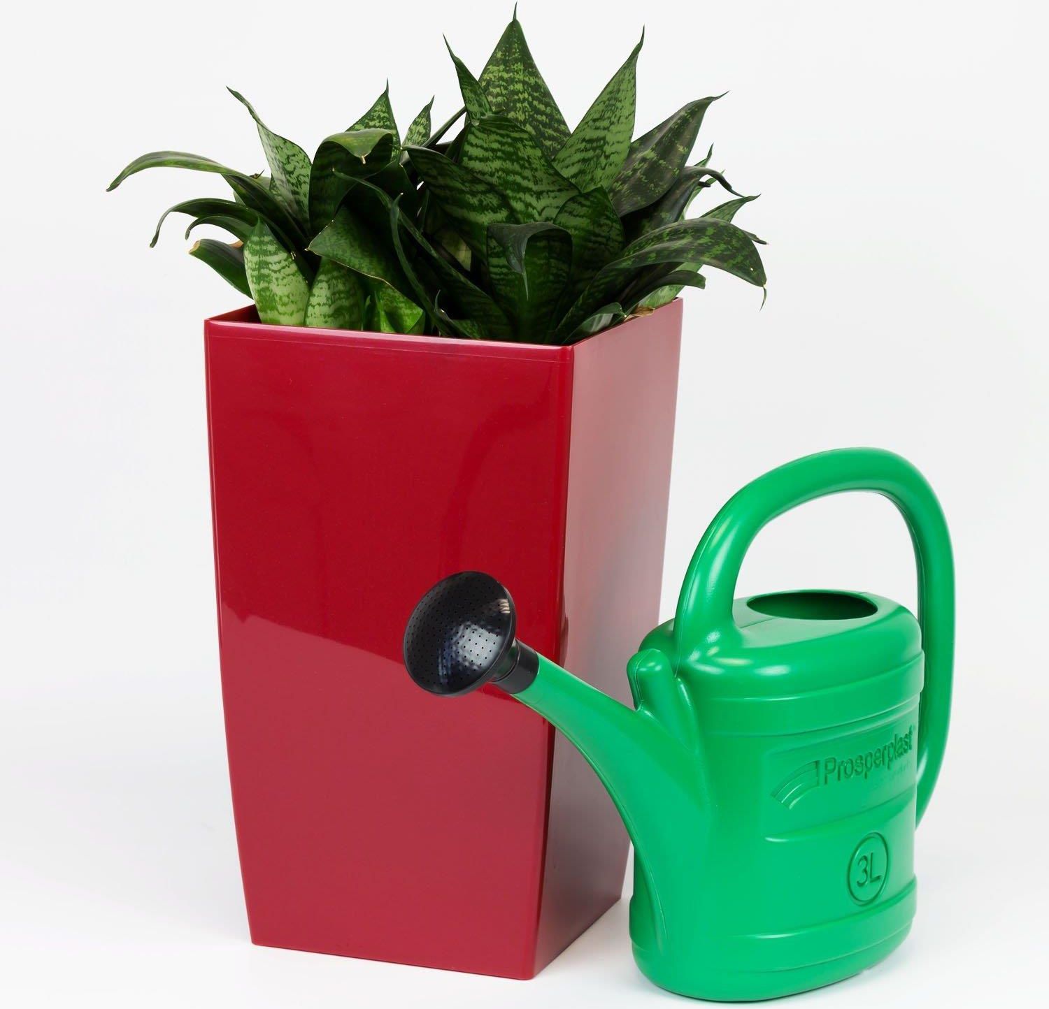 Prosperplast Konewka Ogrodowa Zielona Spring 3L - Ceny i opinie - Ceneo.pl