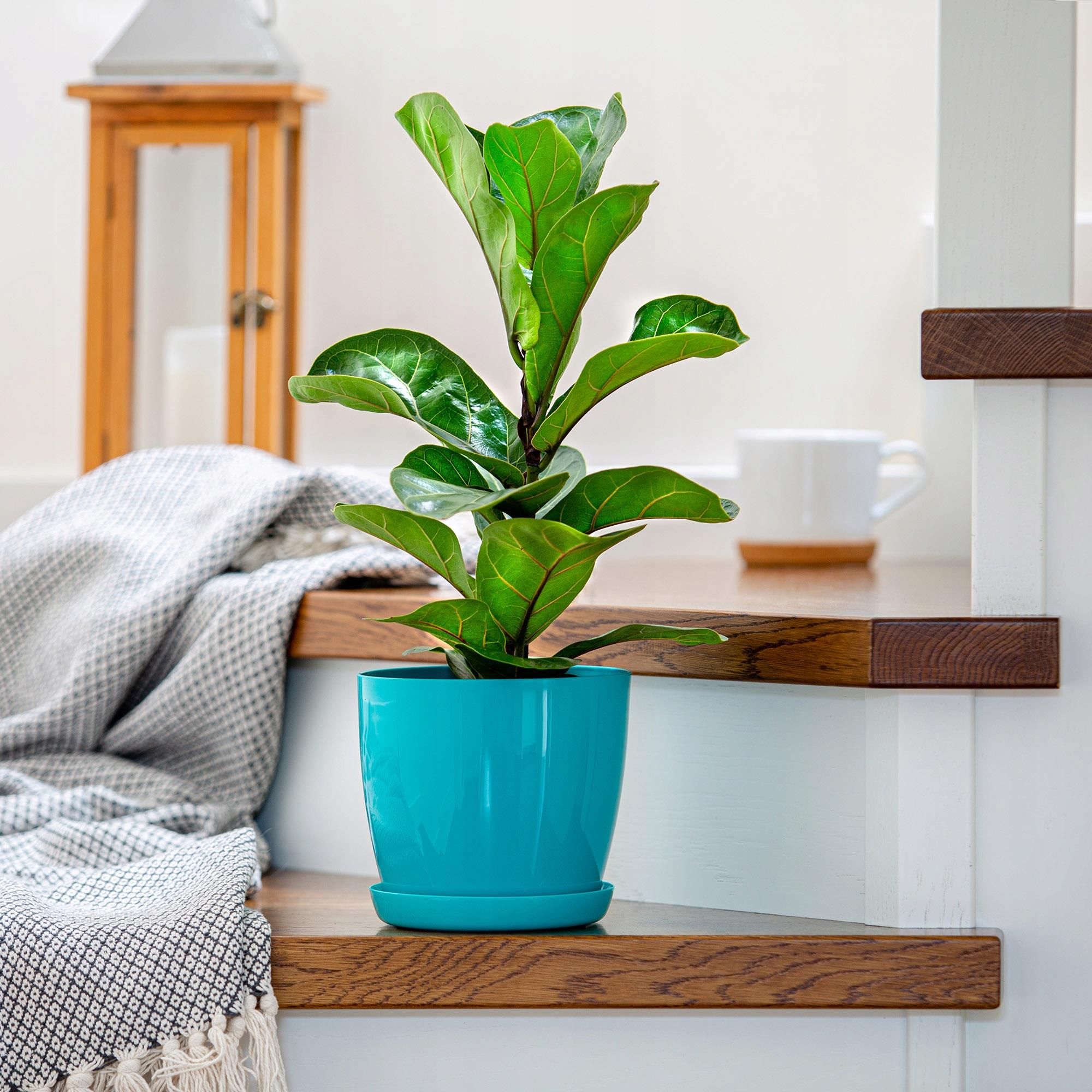 Doniczka Osłonka Na Kwiaty Podstawka Turkus 28cm - Ceny i opinie - Ceneo.pl