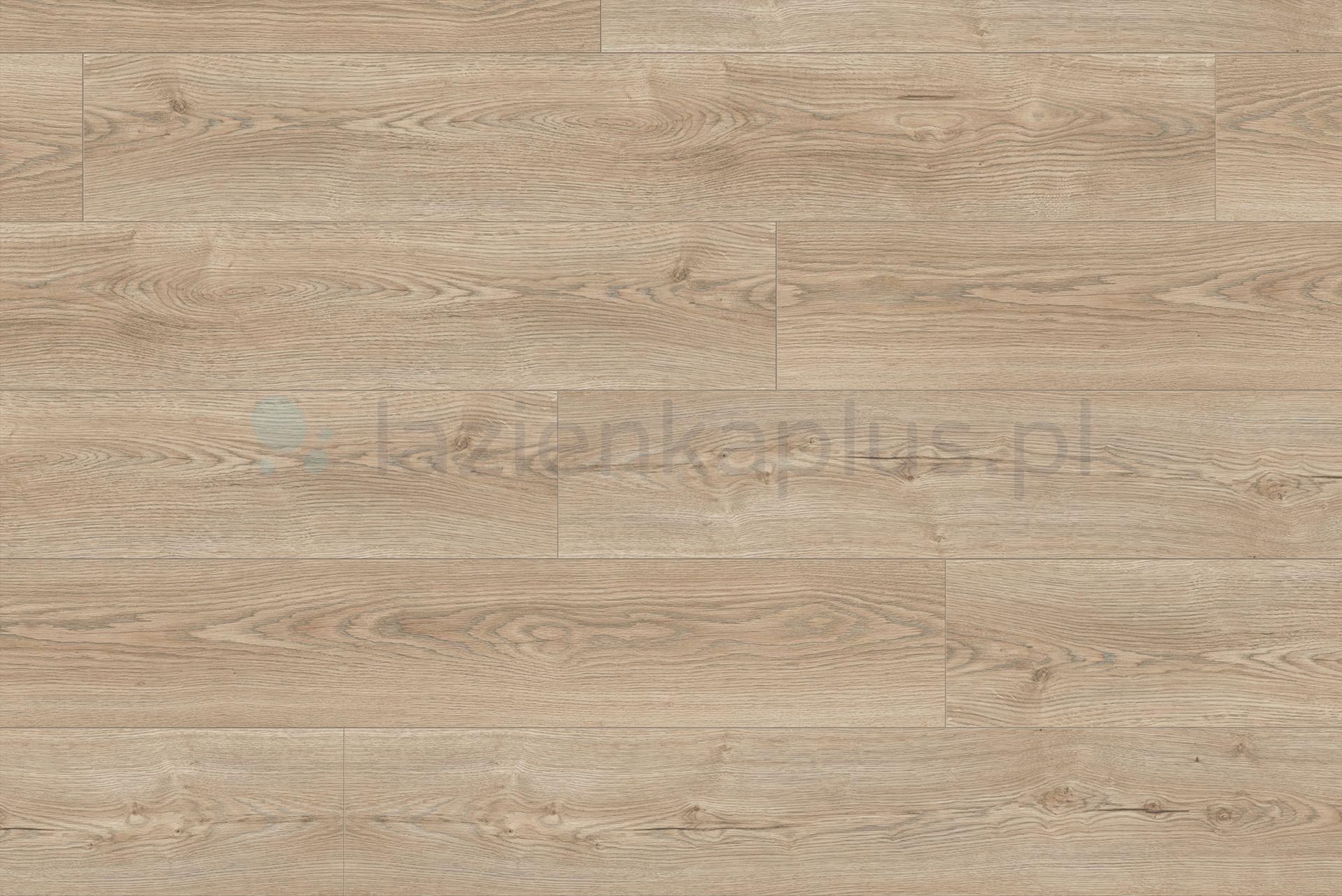 Panele Laminowane Krono Original Super Natural Drewno Jasne ...