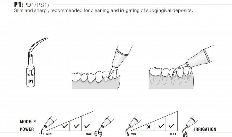 Woodpicker Końcówka Skalera P1 Woodpecker/Ems - Skaling - ceny i opinie ...