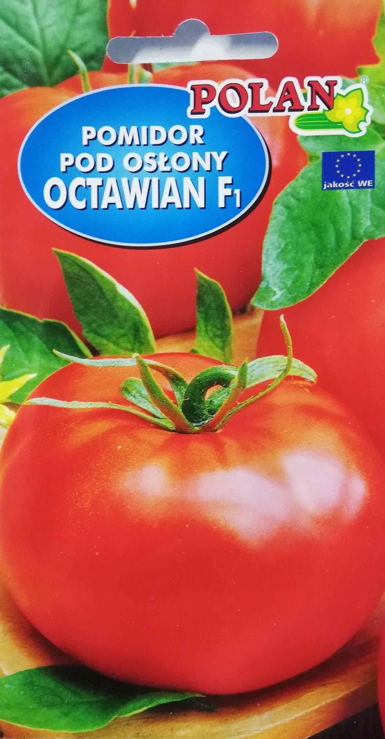 Pomidor Pod Osłony Octawian F1 0,1G - Ceny i opinie - Ceneo.pl