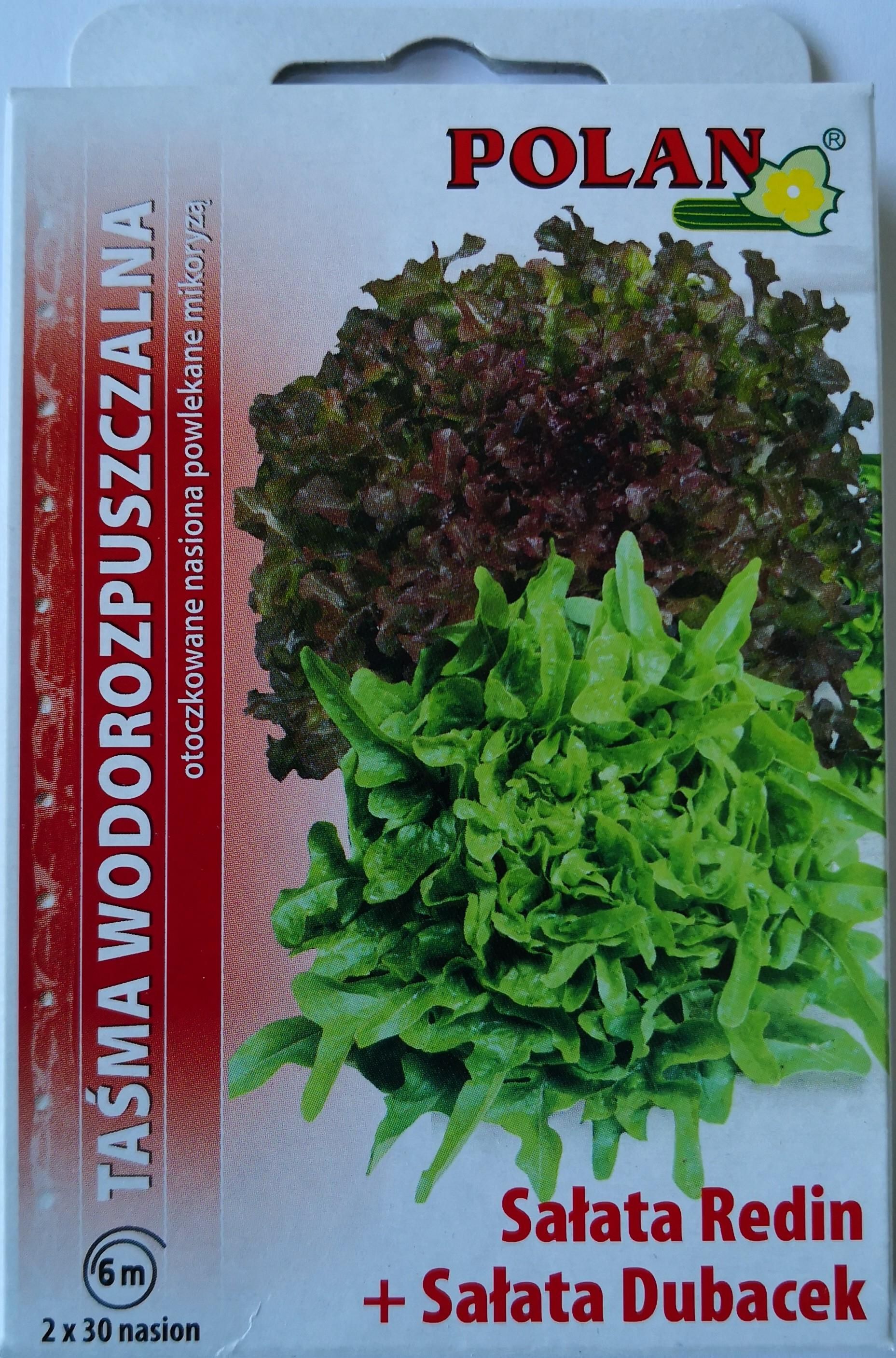 Zestaw Sałata Redin + Sałata Dubacek - Ceny i opinie - Ceneo.pl