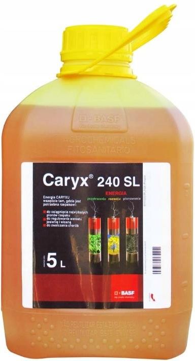 Caryx 240 Sl Rzepak Środek Grzybobójczy 5L - Ceny i opinie - Ceneo.pl