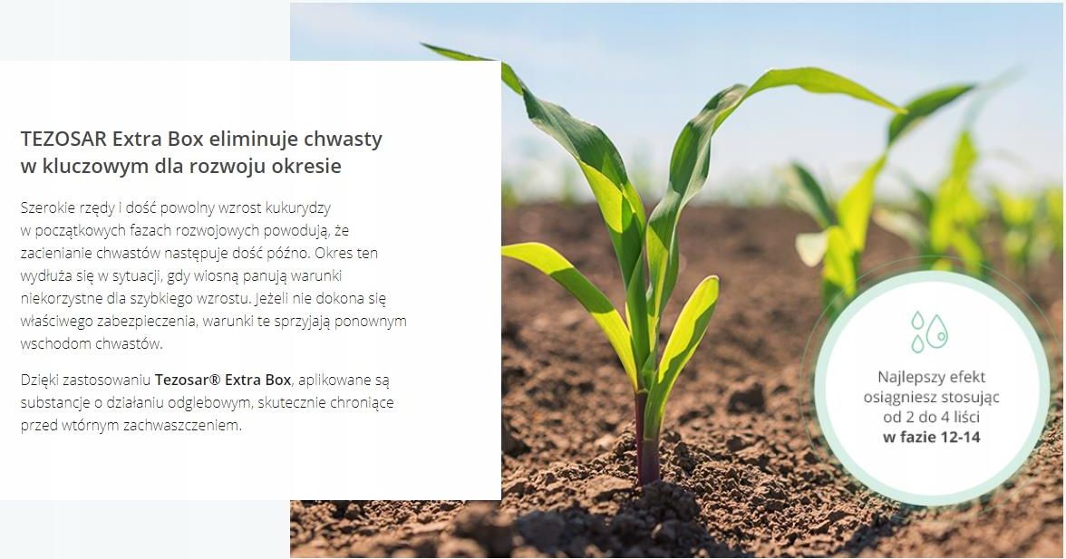 Tezosar Extra Box 3 X 5L Na 7Ha Ciech - Ceny i opinie - Ceneo.pl