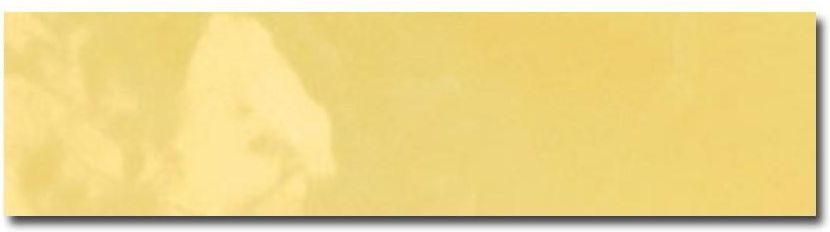 Płytki Tonalite Fluid Primula 6,2X25,0 Płytka Ścienna - Opinie i ceny ...