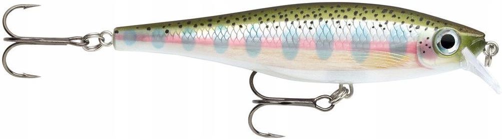 Rapala Bx Minnow 10Cm/12G/Floating Rt Wobler Bxm10Rt - Ceny i opinie ...