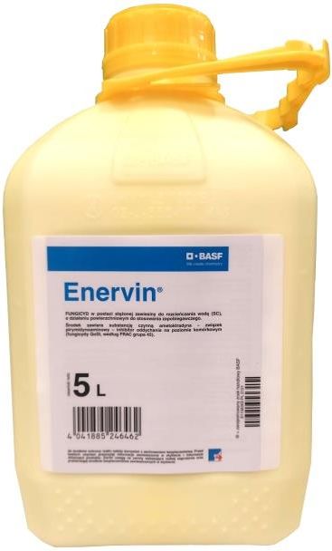 Enervin 5L Basf - Ceny i opinie - Ceneo.pl