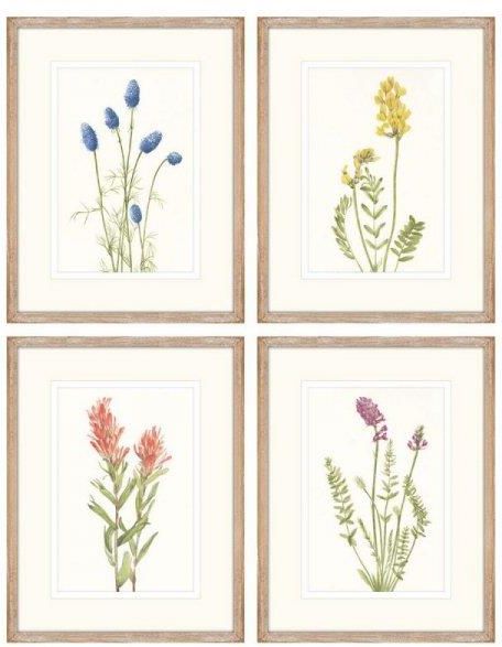 Dkd Home Decor Obraz Rośliny Botaniczne (4 Pcs) (35 X 2 45 Cm) 11043988 ...