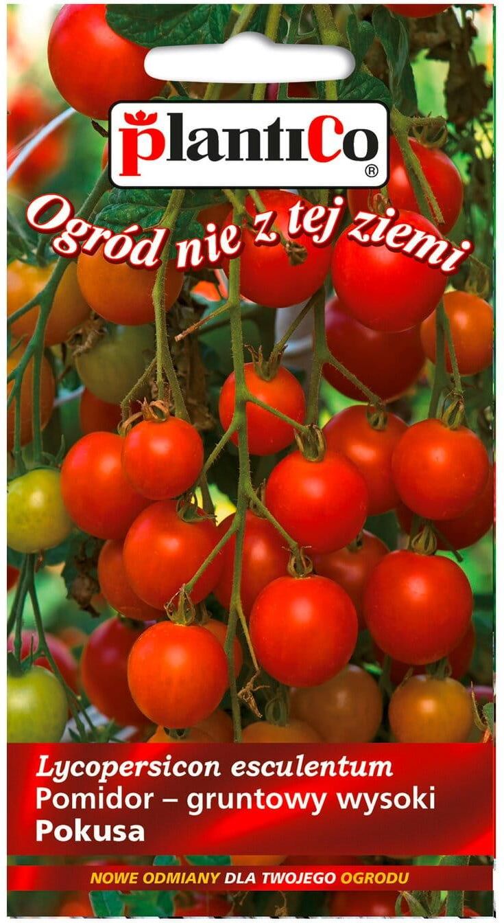 Pomidor Pokusa - Ceny i opinie - Ceneo.pl