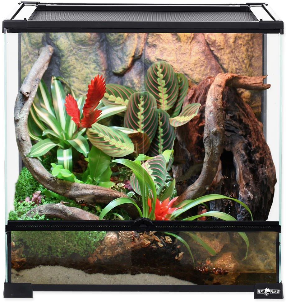 Repti Planet Terrarium Szklane 60X45X60 Cm - Ceny i opinie - Ceneo.pl