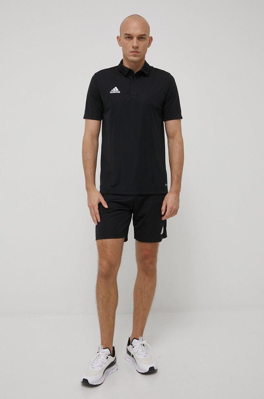 Adidas Performance szorty treningowe Entrada 22 męskie kolor czarny ...