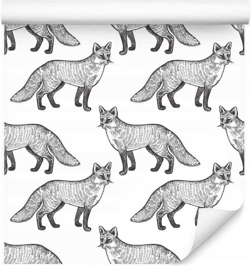 Tapeta dla dzieci czarno-białe lisy zwierzątka - Opinie i ceny na Ceneo.pl