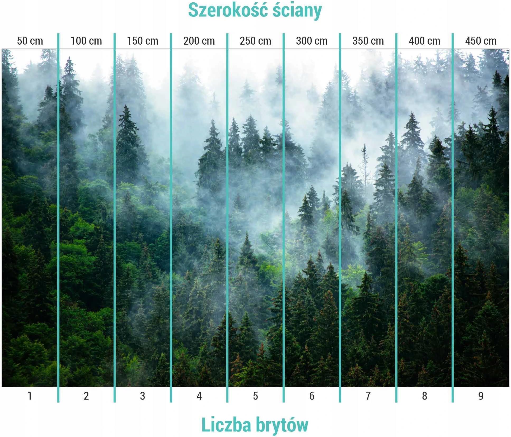Tapeta Las We Mgle Fototapeta Fizelinowa Opinie I Ceny Na Ceneo Pl