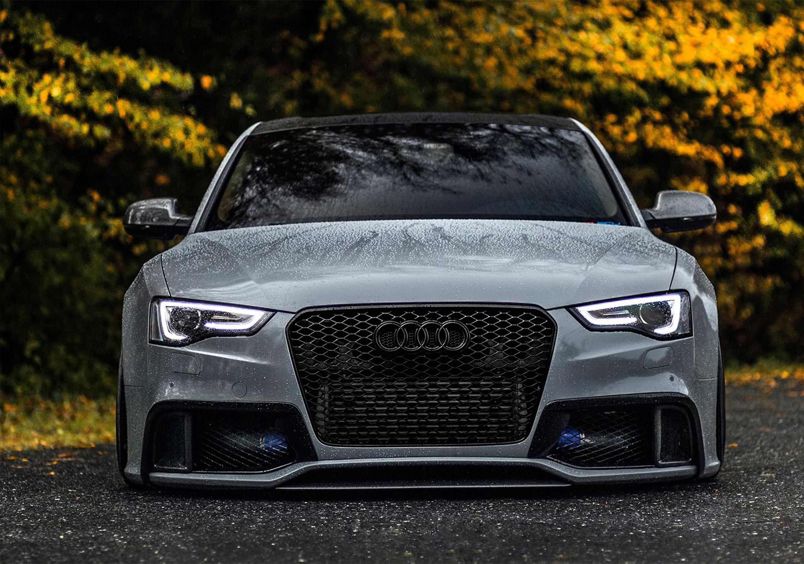 Fototapeta Audi 09 312x219 - Opinie i ceny na Ceneo.pl