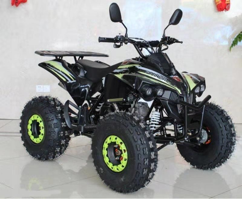 Quad Warrior 125 - Opinie i ceny na Ceneo.pl