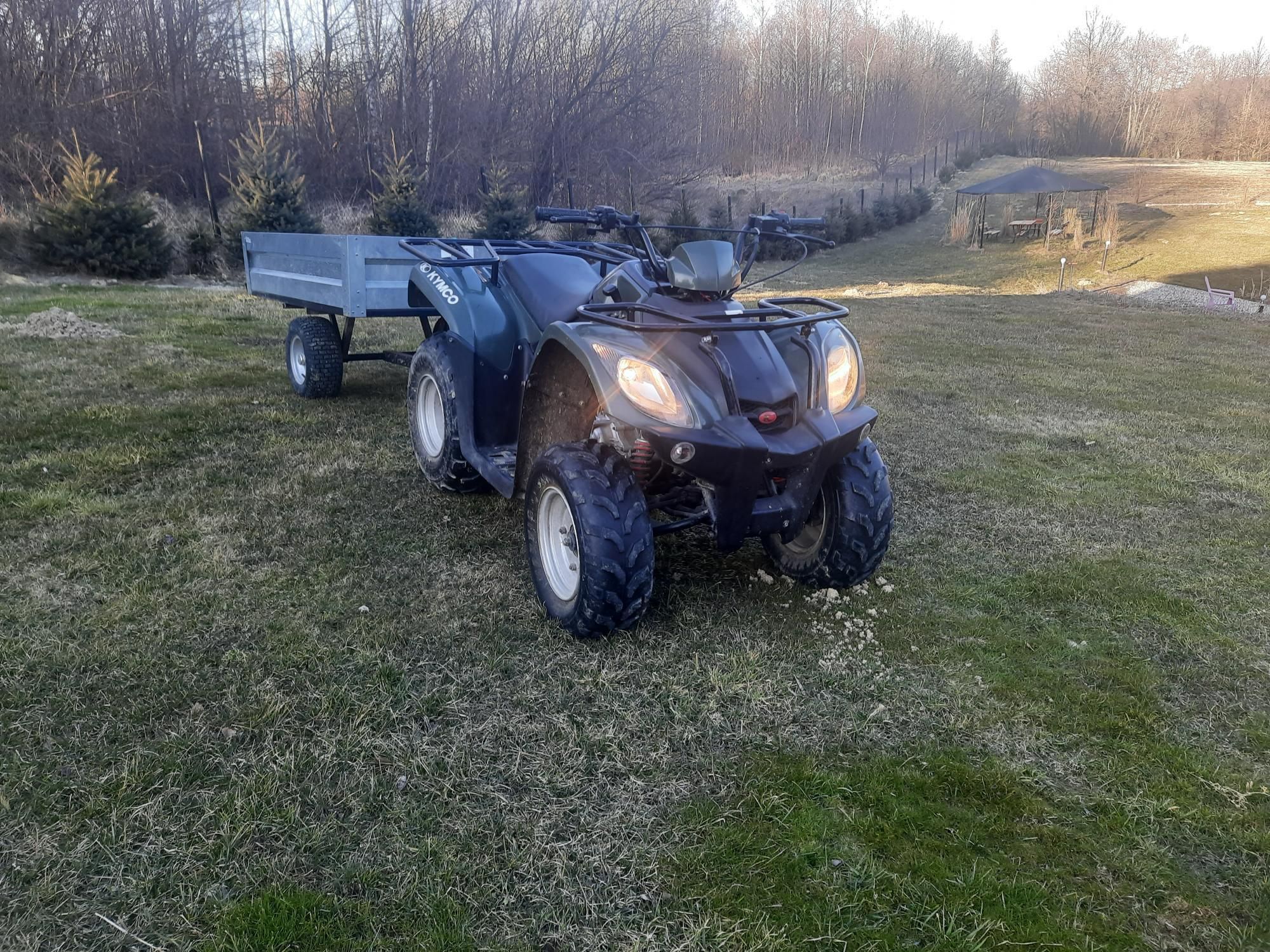QUAD KYMCO MXU 150 - Opinie i ceny na Ceneo.pl