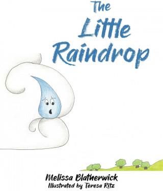 The Little Raindrop - Literatura obcojęzyczna - Ceny i opinie - Ceneo.pl