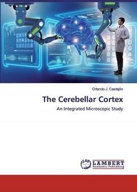 The Cerebellar Cortex - Literatura obcojęzyczna - Ceny i opinie - Ceneo.pl