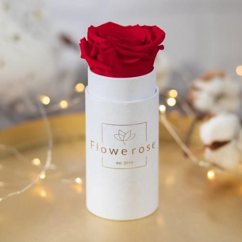 Flowerose Czerwona Róża Biały Flowerbox Classic Mini - Ceny i opinie ...