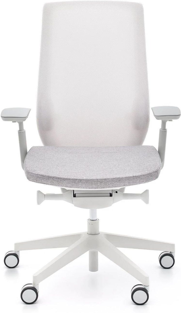 Profim Fotel Ergonomiczny Accis Pro 150Sfl Nx10 Lgr Szary Fotel Bez ...