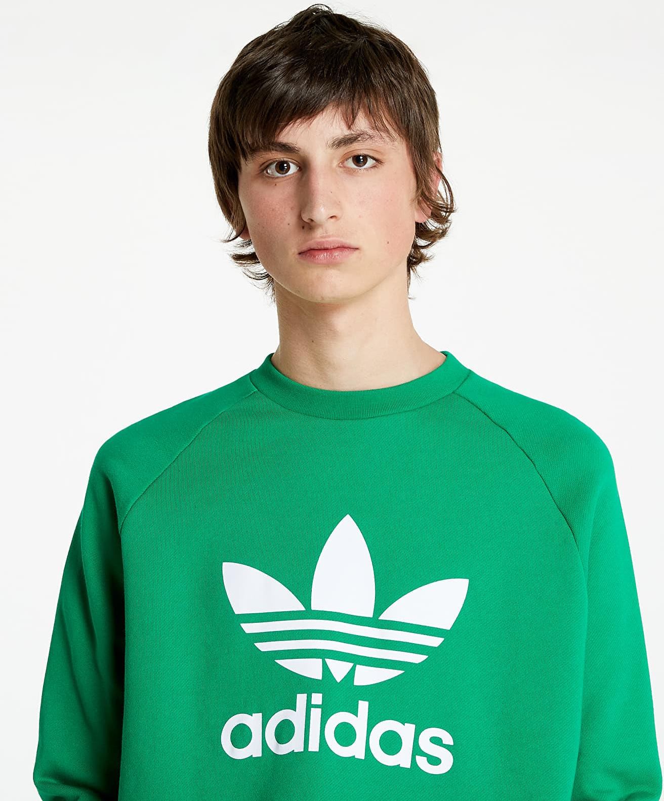 Adidas Trefoil Crew Green/ White - Ceny i opinie - Ceneo.pl