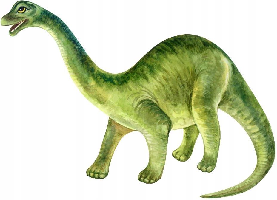 Naklejki na ścianę Dinozury Diplodok XL - Opinie i atrakcyjne ceny na ...