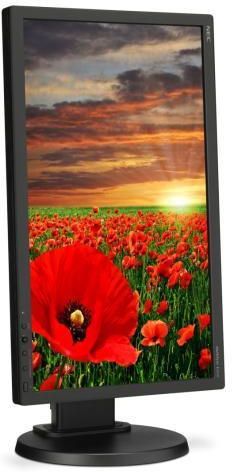 Monitor NEC 20 MultiSync E201W Czarny (60002820) - Opinie i ceny na ...