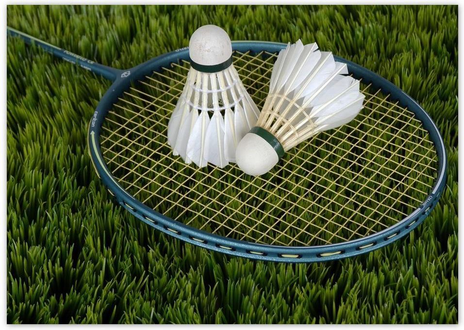 Naklejki A2 Poziom Badminton Lotka Rakieta - Opinie i atrakcyjne ceny ...