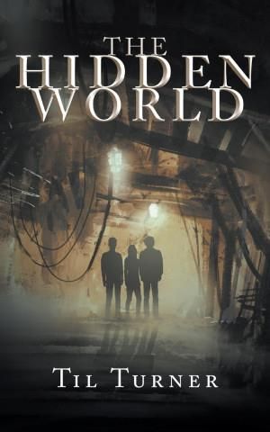 The Hidden World - Literatura obcojęzyczna - Ceny i opinie - Ceneo.pl