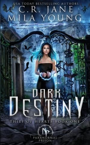 Dark Destiny - Literatura obcojęzyczna - Ceny i opinie - Ceneo.pl