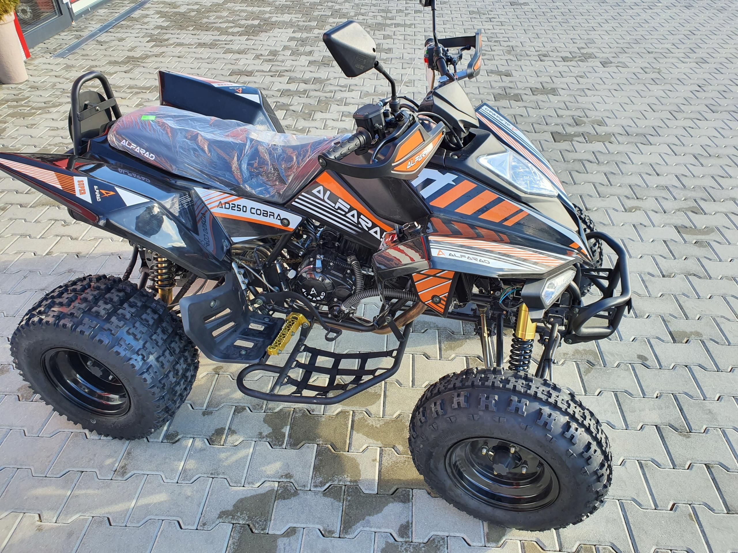 Quad ATV Alfarad 250 Z HOMOLOGACJĄ raty na tel - Opinie i ceny na Ceneo.pl