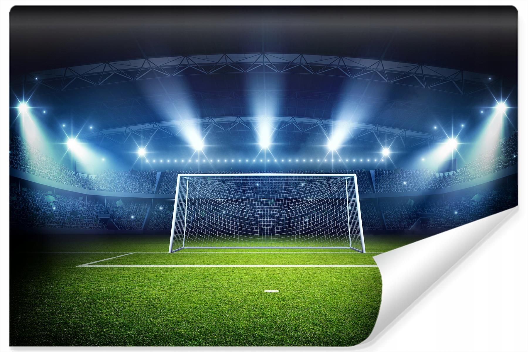 Muralo Fototapeta Do Salonu Stadion Bramka Sport 90X60 - Opinie i ceny ...
