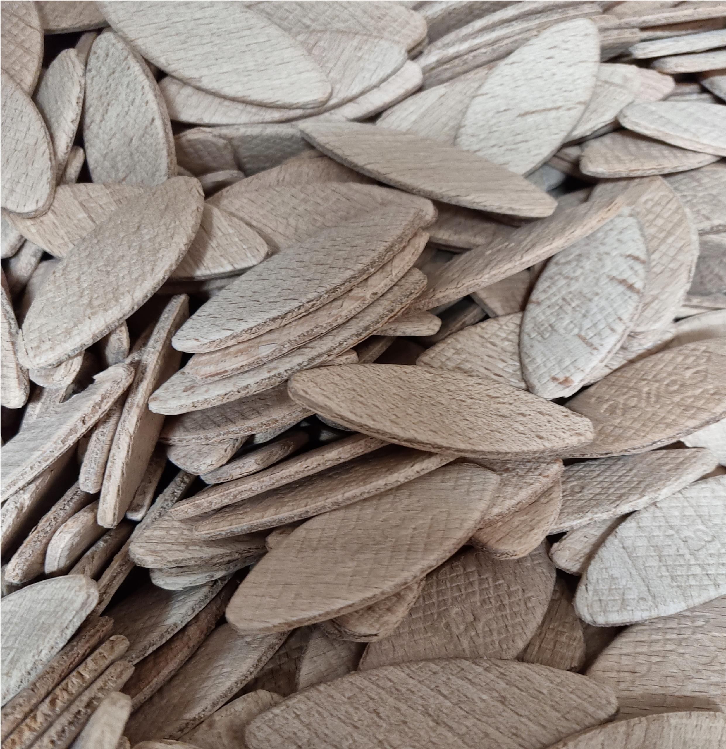 Solid Lamelki Lamele bukowe obce pióro rozm. 10, 100 szt (LAMELKI10 ...