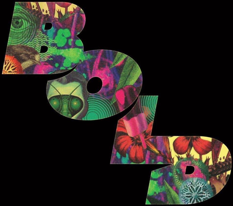 Płyta kompaktowa Bold - Bold *CD - Ceny i opinie - Ceneo.pl