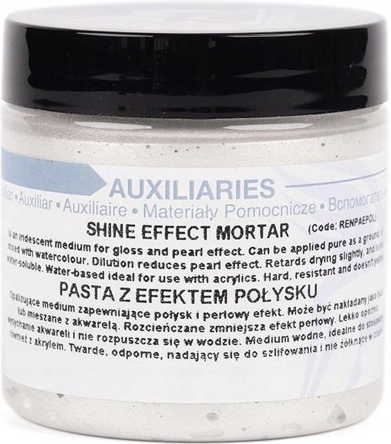 Renesans Pasta Z Efektem Połysku Grunt 110Ml - Ceny i opinie - Ceneo.pl