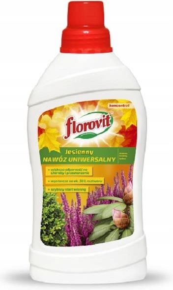 Nawóz Florovit Nawóz Uniwersalny Płynny Regeneracja 1L - Ceny i opinie - Ceneo.pl