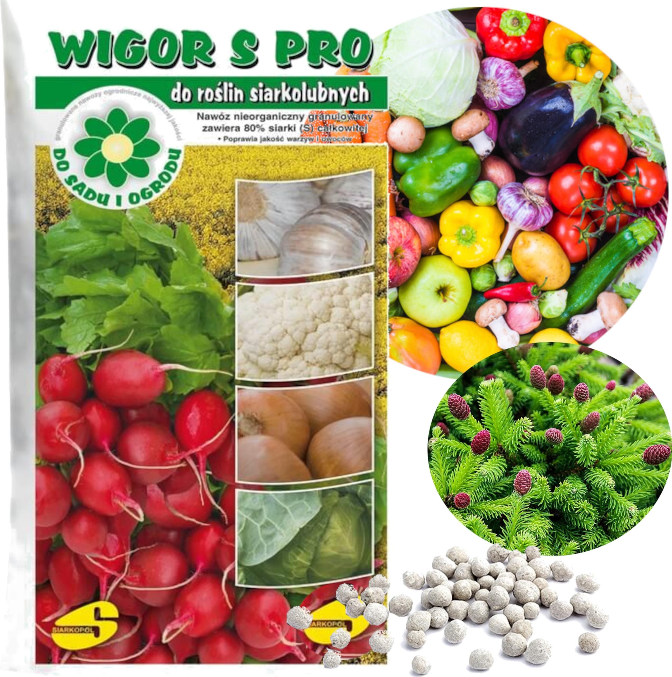 Nawóz Wigor S 10Kg Siarka Granulowana Nawóz Do Borówki - Ceny i opinie ...