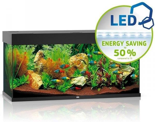 Juwel Rio 180 LED czarny - akwarium - Ceny i opinie - Ceneo.pl