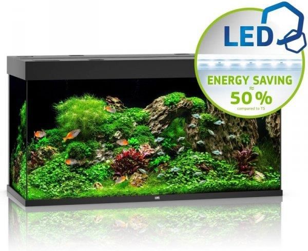 Juwel Rio 350 LED czarny - akwarium - Ceny i opinie - Ceneo.pl