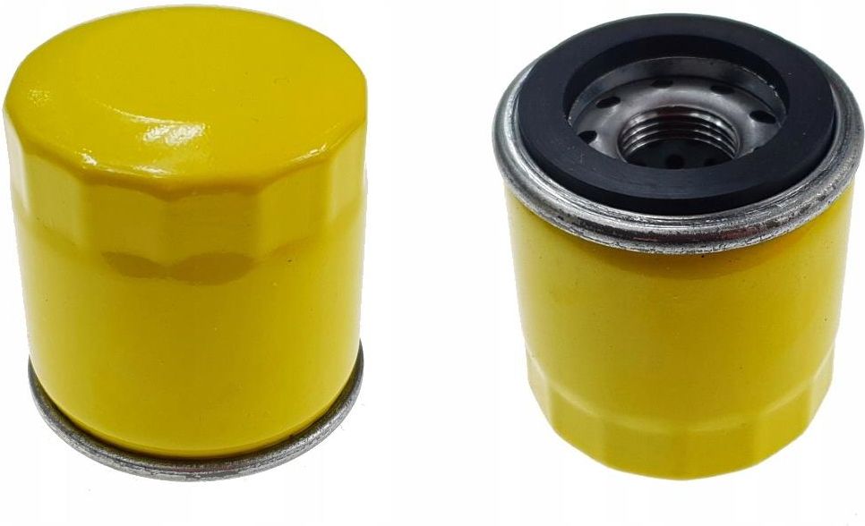 Filtr Oleju Briggs&Stratton 792615B 795990 - Ceny i opinie - Ceneo.pl