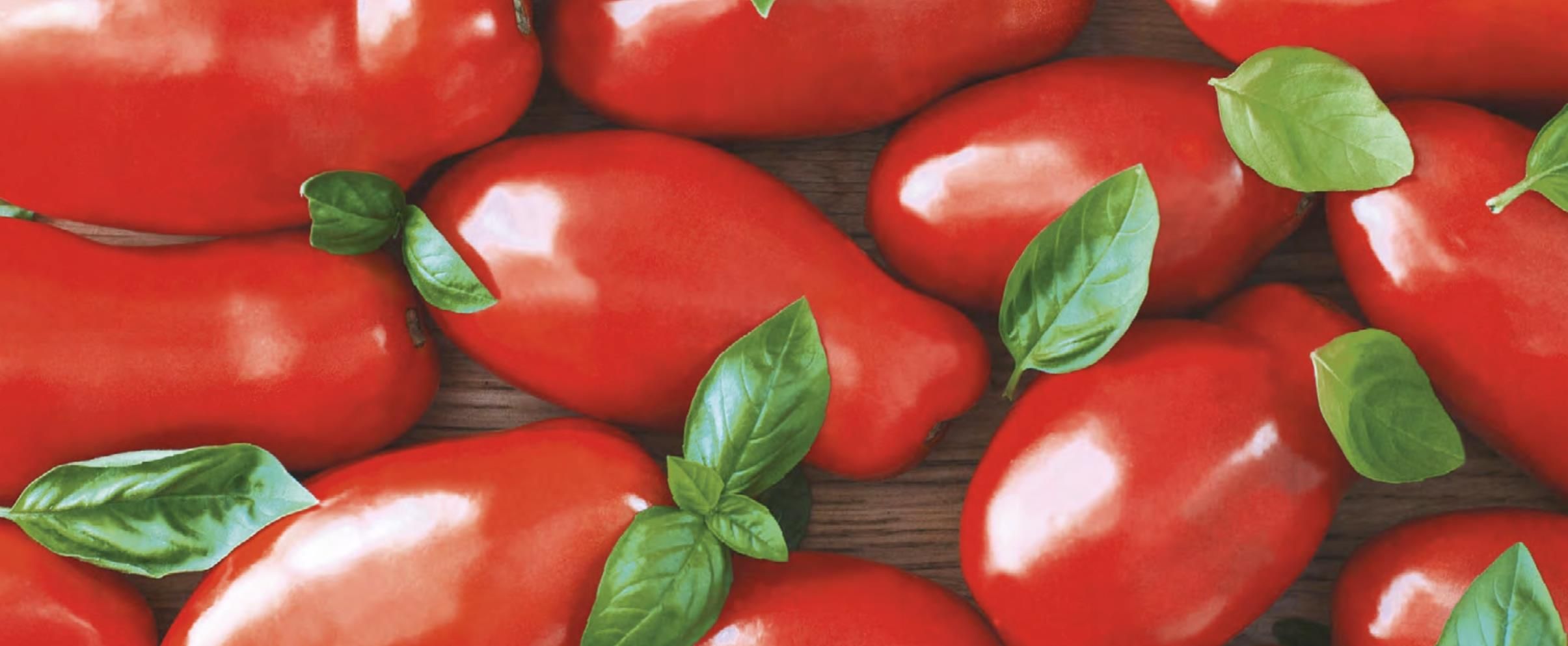 Pomidory Pelati Całe Bez Skórki Ital Dora 2500g - Ceny i opinie - Ceneo.pl