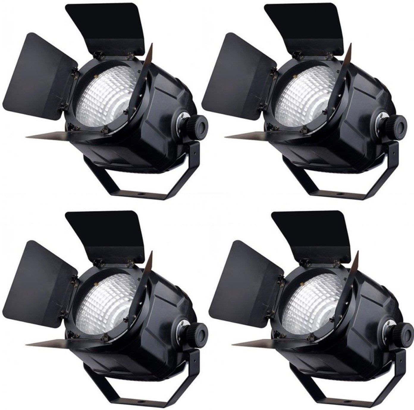 Zestaw Fractal Lights 4X Par Led 100W 50 W Ww + 50W Pw - Ceny i opinie ...