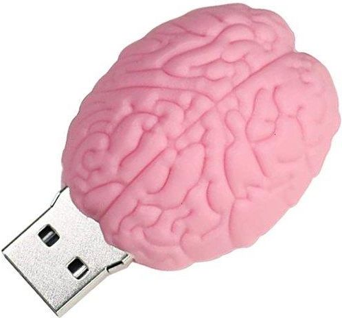Pendrive Diaway MÓZG Róż Operacja Rozum Głowa USB 16GB - Opinie i ceny ...