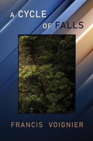 A Cycle of Falls - Literatura obcojęzyczna - Ceny i opinie - Ceneo.pl